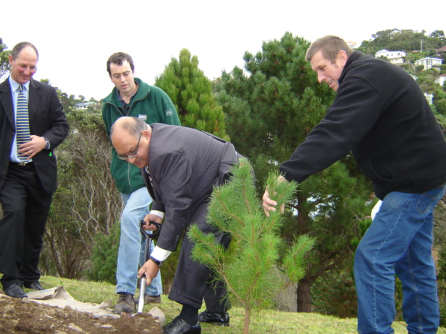 Pine tree planting | The Governor-General of New Zealand